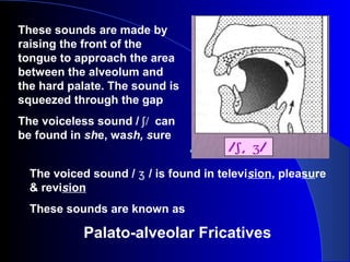Phonetic sounds | PPT