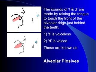 Phonetic sounds | PPT