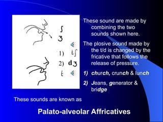 Phonetic sounds for english education.ppt