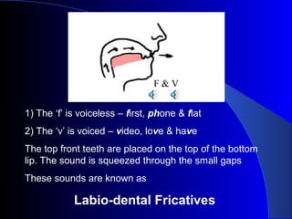 Phonetic sounds (v) | PPT