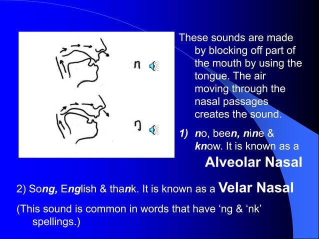 Phonetic sounds z | PPT