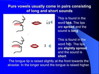 Phonetic sounds z | PPSX