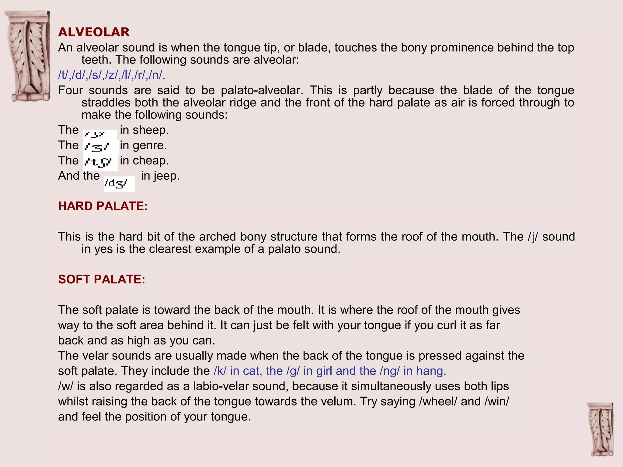 Phonetics & phonology | PPT