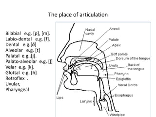 Phonetics & phonology, INTRODUCTION, Dr, Salama Embarak | PPT