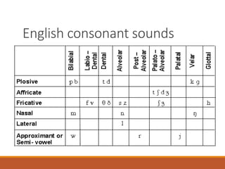 Phoneticsphonology lecture 2 | PPT
