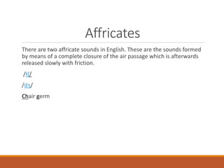 Phoneticsphonology lecture 2 | PPT