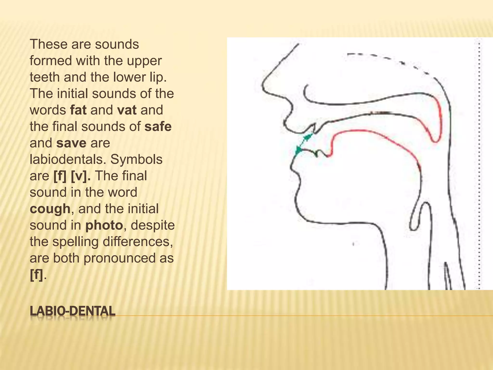 Phonetics & Phonology Mine.pptx