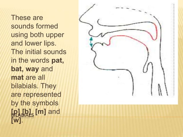 Phonetics & Phonology Mine.pptx