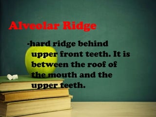 Phonetics powerpoint | PPTX