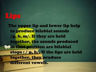 Phonetics powerpoint | PPTX