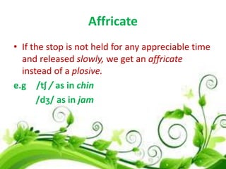 Phonetics presentation part II | PPT | Ear, Nose and Throat Conditions ...