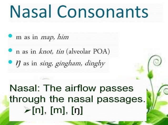 Phonetics presentation part II | PPT