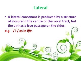 Phonetics presentation part II | PPT | Ear, Nose and Throat Conditions ...