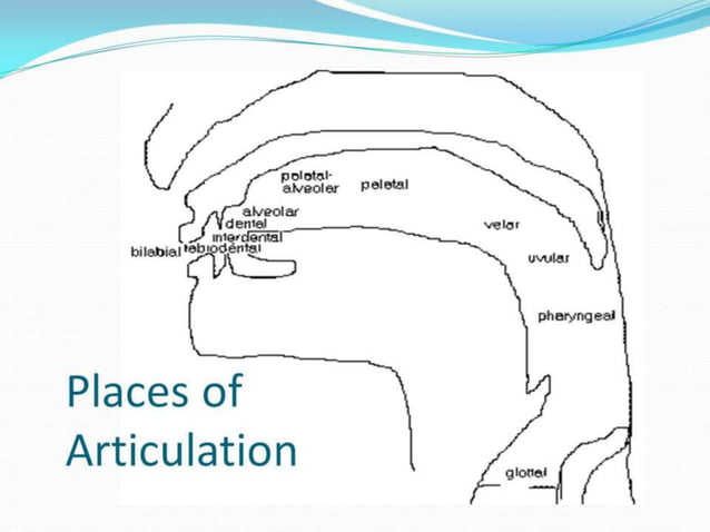 Phonetics presentation part II | PPT