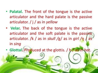 Phonetics presentation part II | PPT | Ear, Nose and Throat Conditions ...