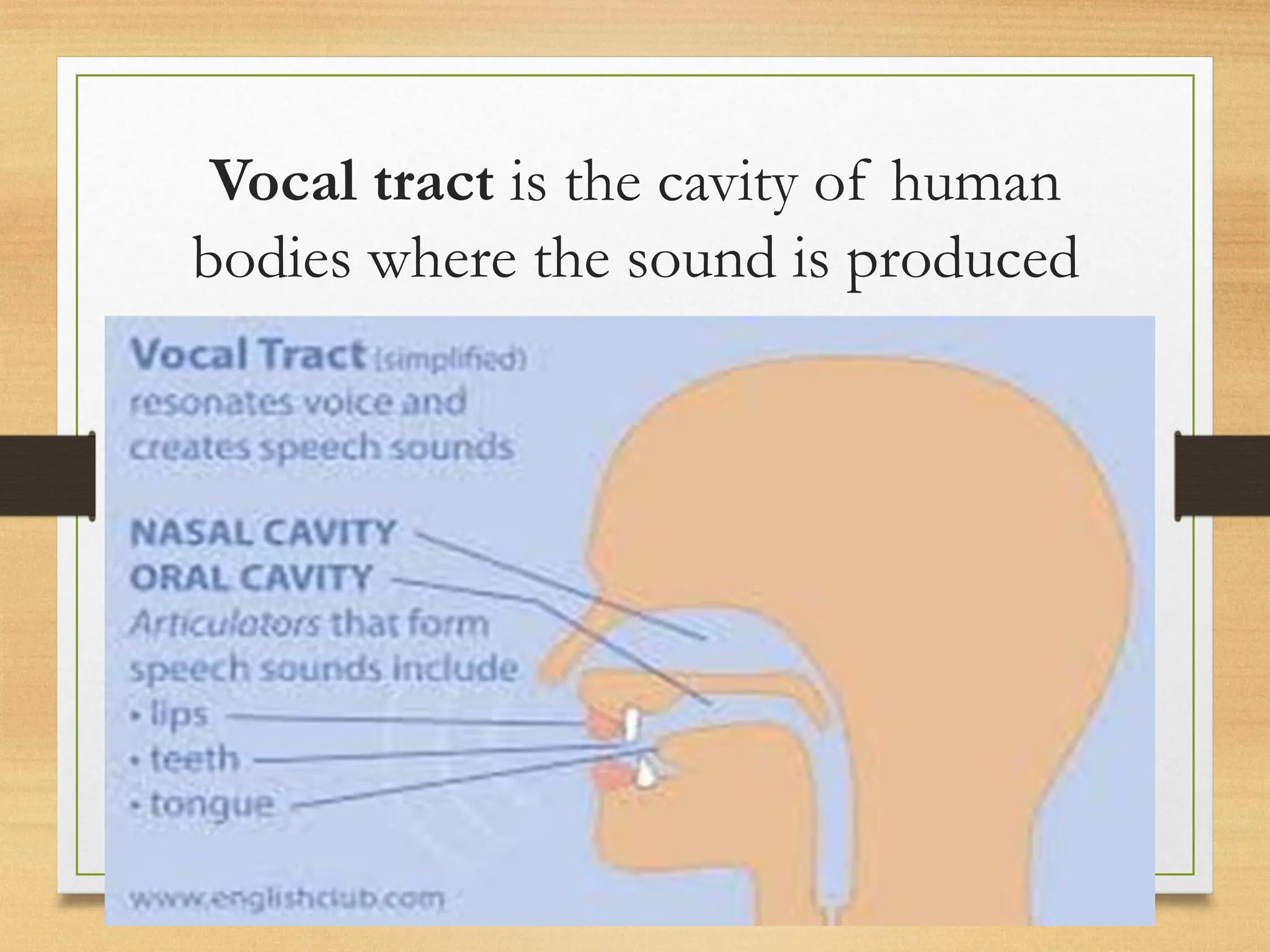Phonetics Second Presentation about articulation | PPT