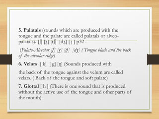 Phonetics Second Presentation about articulation | PPT