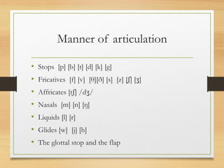 Phonetics Second Presentation about articulation | PPT