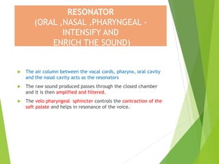 Phonetics | PPTX