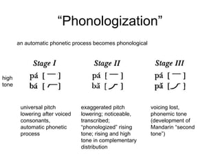 Phonetics vs | PPT