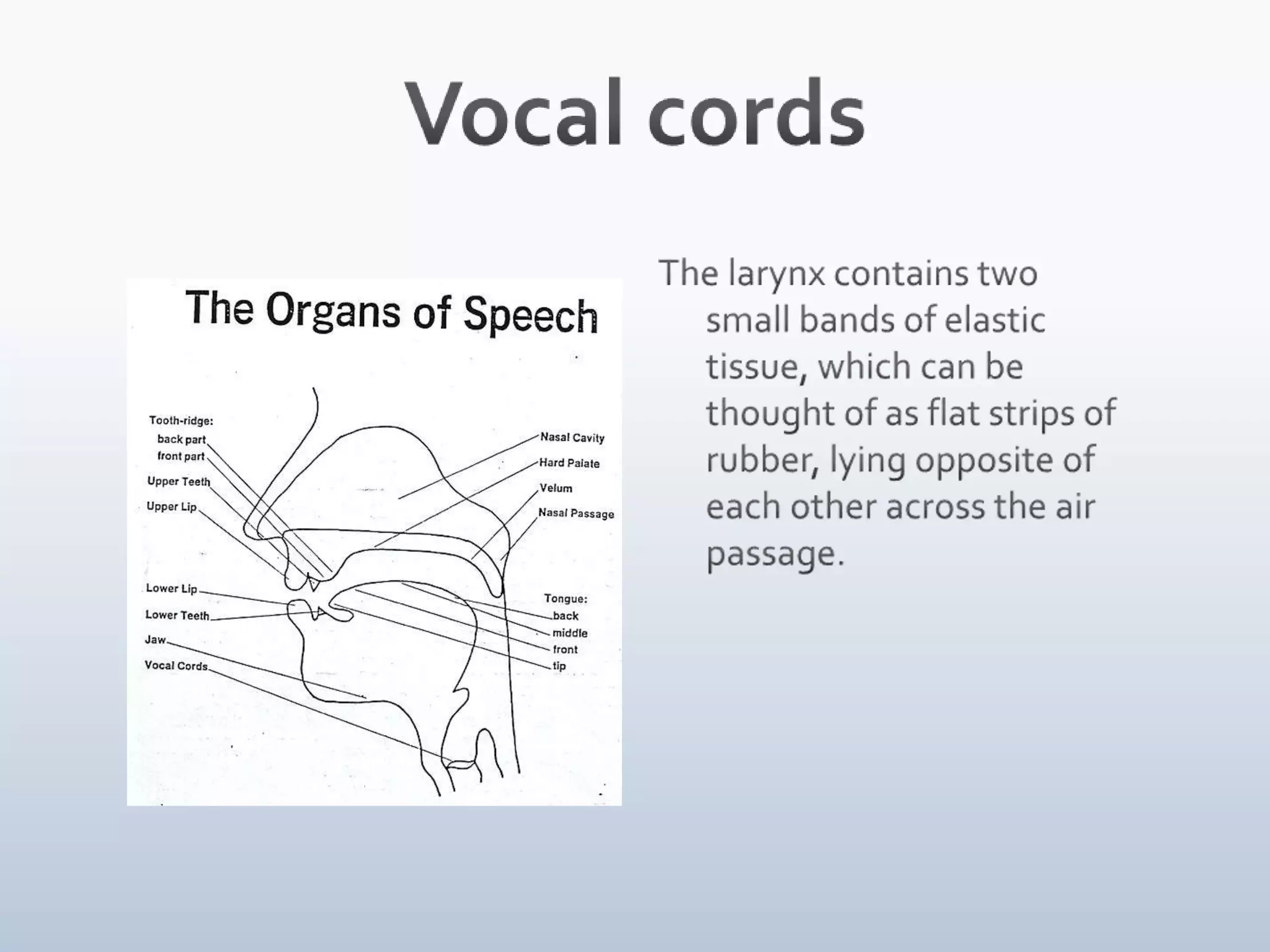 PHONETICS WEEK 2.pptx