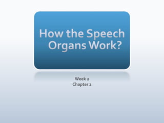 PHONETICS WEEK 2.pptx