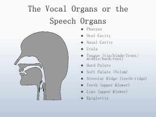 PHONETICS WEEK 2.pptx