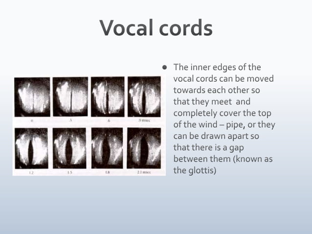 PHONETICS WEEK 2.pptx