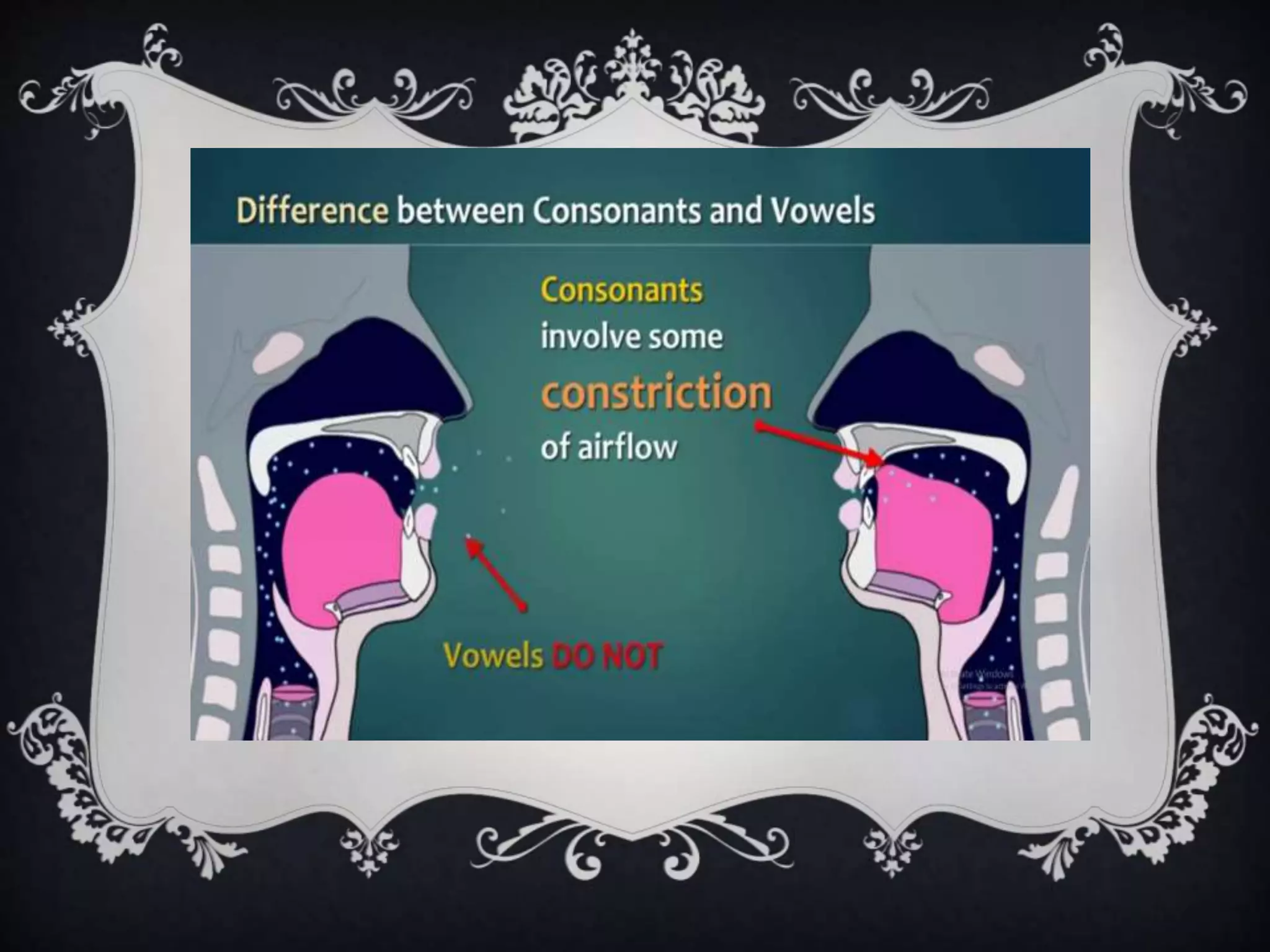 Phonetic vs phonology | PPT