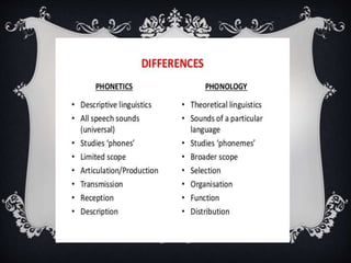Phonetic vs phonology | PPT