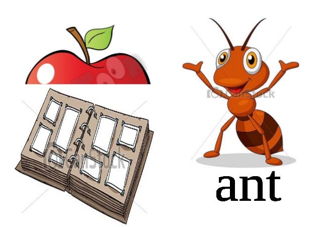 ants in the apple flash cards