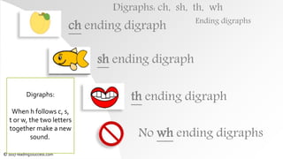 Phonics needed to decode, spell and read words | PPTX