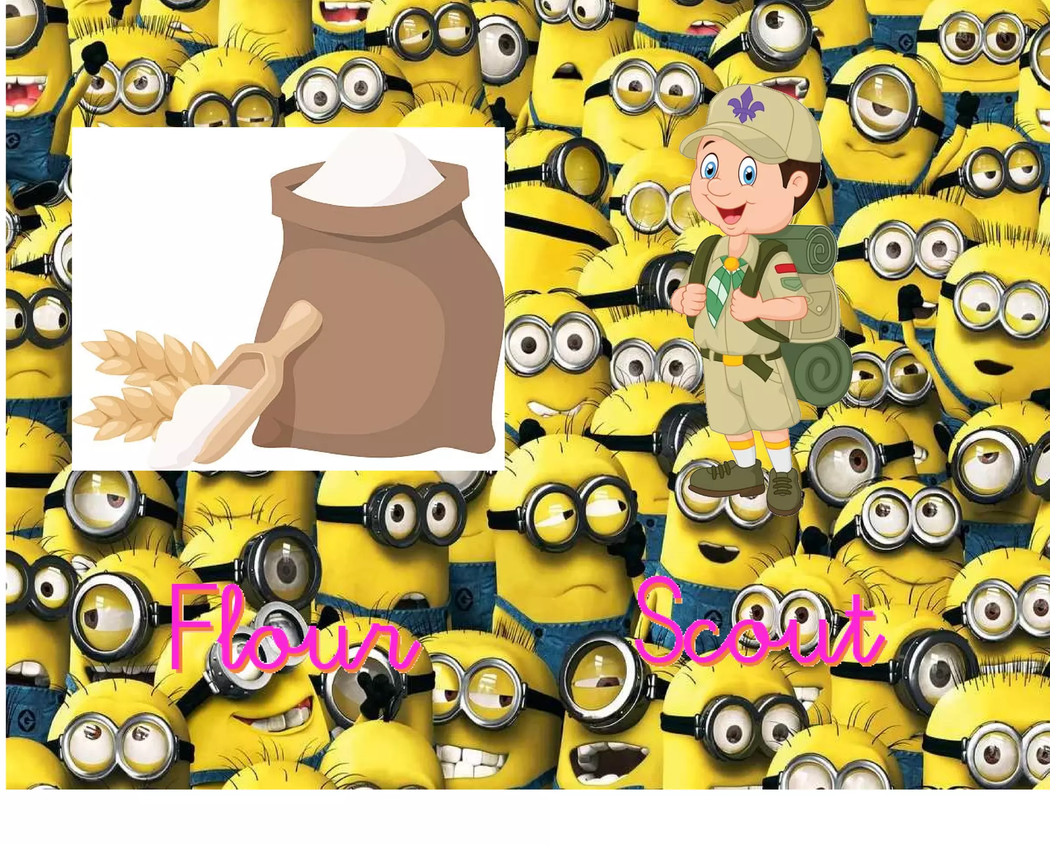 Phonics ou | PPT