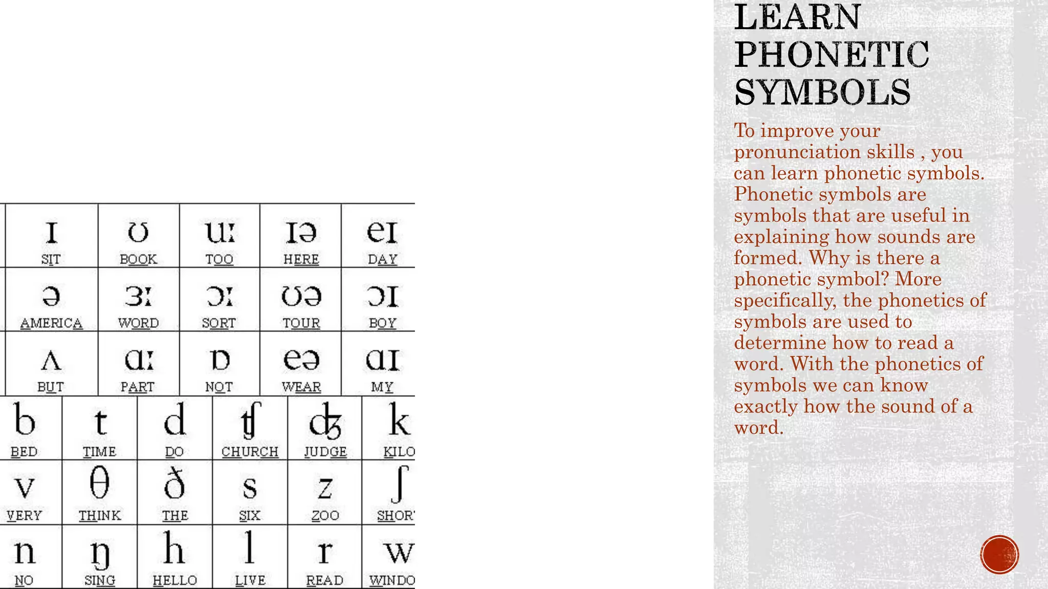 Phono by nadnad & riri.pptx