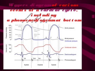 Phonocardiogram | PPT