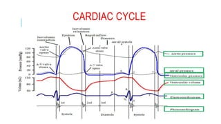 Phonocardiogram | PDF