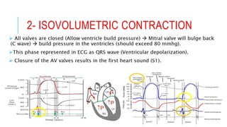 Phonocardiogram | PDF