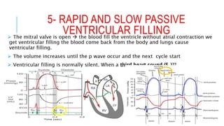 Phonocardiogram | PDF
