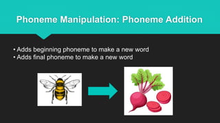 Phonological awareness presentation | PPTX