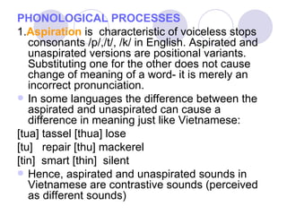 Phonological processes | PPT