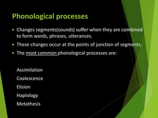 Phonological processes | PPT