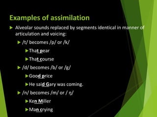 Phonological processes | PPT