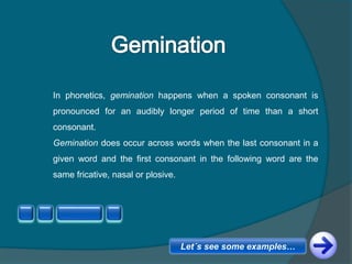 Phonological Processes Power Point Presentation | PPTX