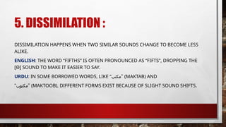 Compare and contrast phonological processes.pptx