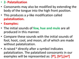 Phonological Processes (5).pptx
