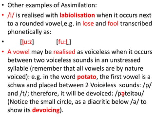 Phonological Processes (5).pptx