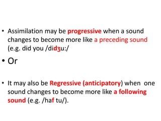 Phonological Processes (5).pptx