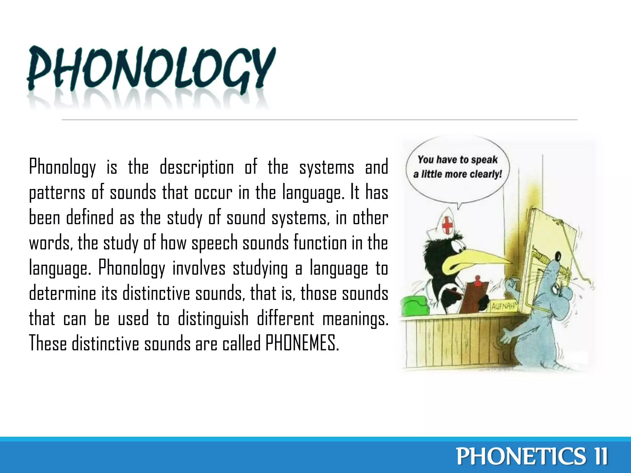 Phonological processes phonetics ii | PDF