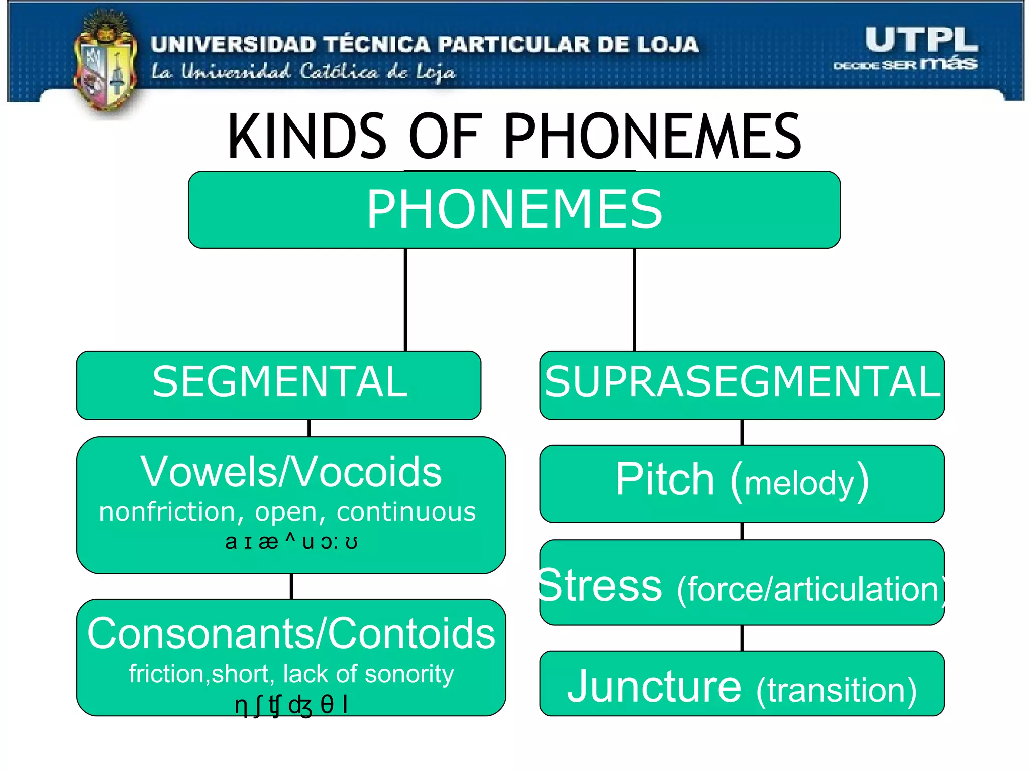 Phonology | PPT