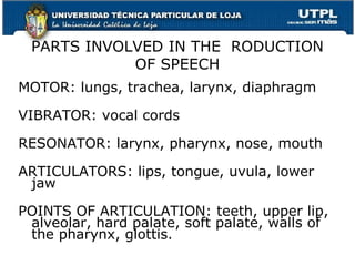 Phonology | PPT